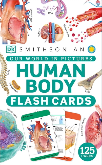 DK Our World in Pictures: Our World in Pictures Human Body Flash Cards ...
