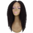 DAPRZIY 22" Curly Synthetic Ringlet Wig 4x4 HD Lace Heat Resistant ...