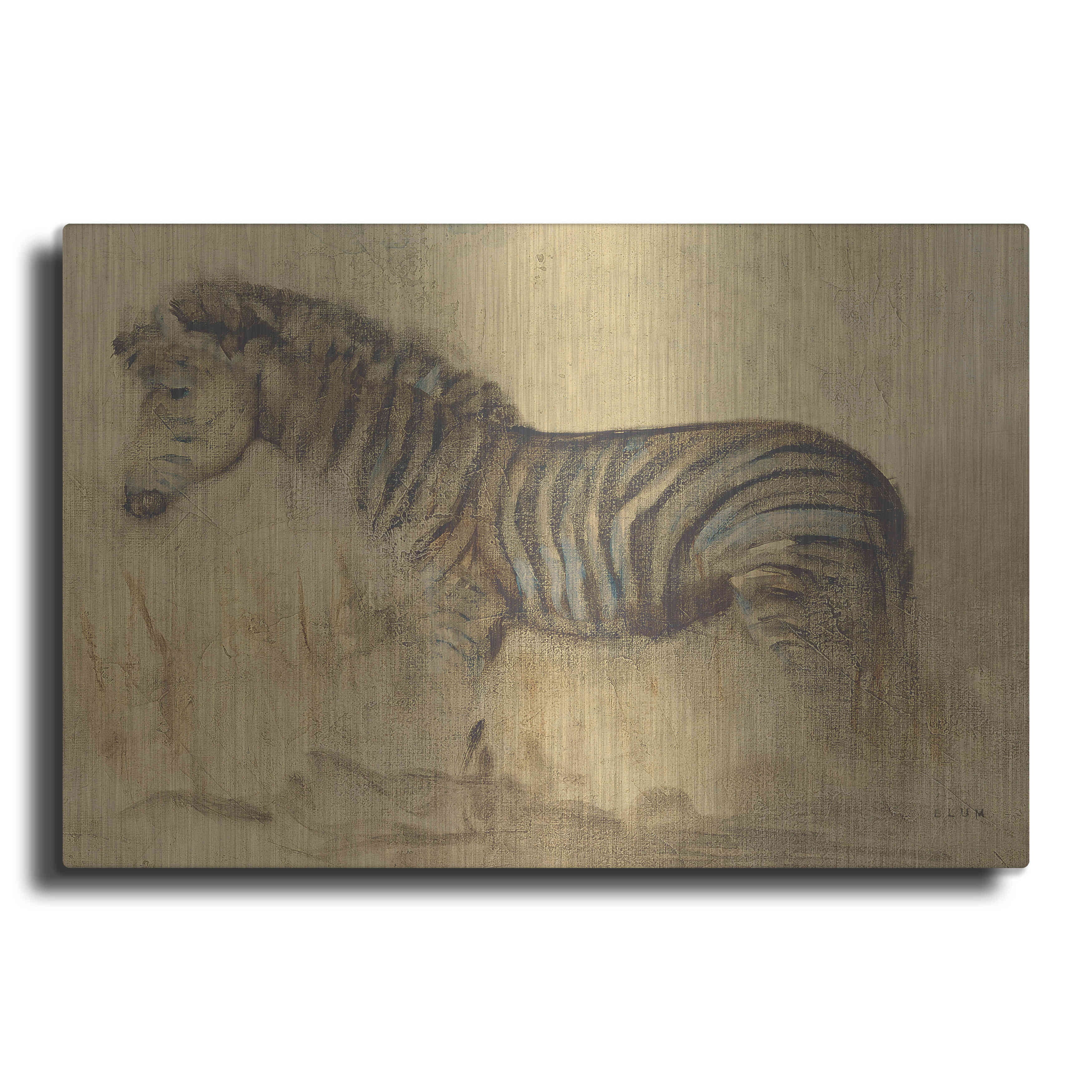Luxe Metal Art 'Global Zebra Light Crop' by Cheri Blum, Metal Wall Art ...
