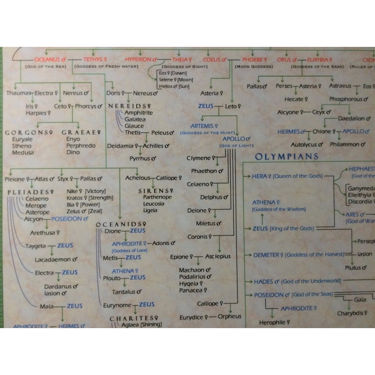 Greek God Family Tree Poster Greek Gods Family Tree Poster