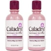 Caladryl Pink Skin Protectant Lotion Calamine + Itch Reliever 6 Fl Oz ...