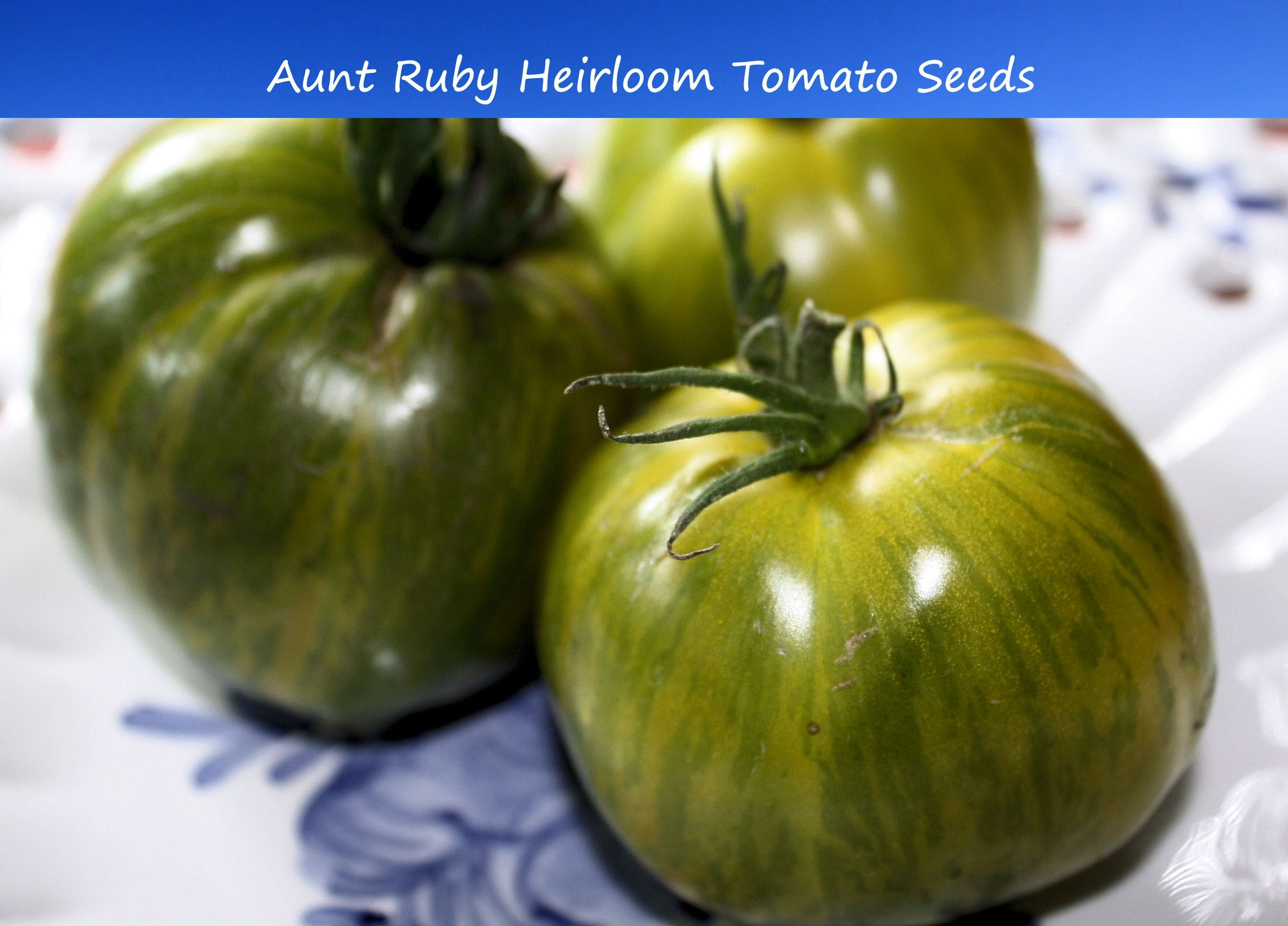 Tomato Seeds -Aunt Ruby German Green Tomato - 20 Vegetable Seeds ...