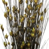 Vickerman 36-40" Long Stem Bell Grass with Basil Colored Seed Pods, 2 ...