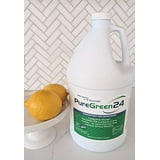 Pure Green 24 Disinfectant & Deodorizer - One Gallon Refill - Walmart.com