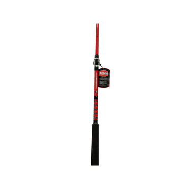 PENN Rampage® Jig Conventional Rod, 5'8" Heavy Fishing Rod - Walmart.com