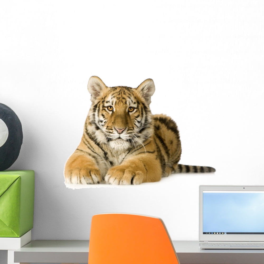 Tiger Cub 5 Months Wall Decal Sticker by Wallmonkeys Vinyl Peel and ...