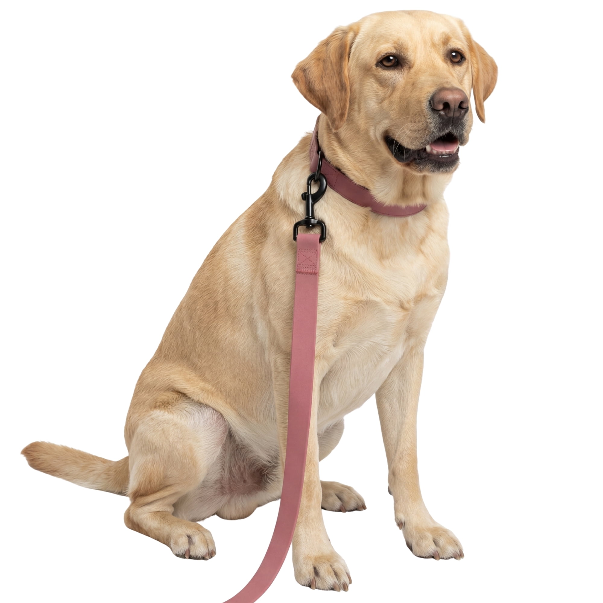 Click here for One Paw  Silicone Dog Leash With Wavy Lines Patter... prices