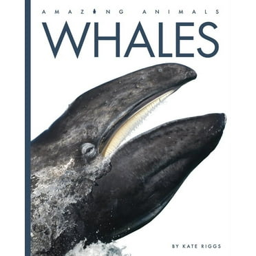 Amazing Animals: Armadillos (Paperback) - Walmart.com