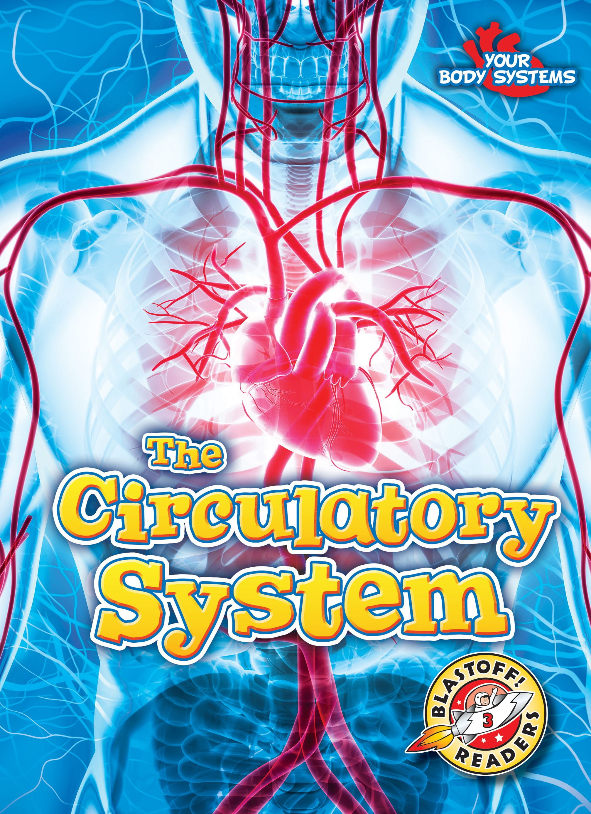 Your Body Systems: The Circulatory System (Hardcover) - Walmart.com