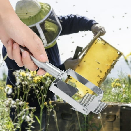 Honey Scraper, Beekeeping Scraper Stainless Steel For Beehive Recessed ...
