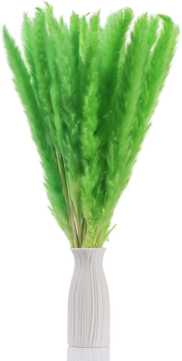 30pcs Natural Dried Pampas Grass Pompous Grass Long-Lasting Dried ...