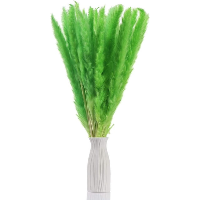 30pcs Natural Dried Pampas Grass Pompous Grass Long-Lasting Dried ...