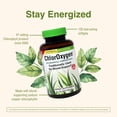 Herbs Etc. ChlorOxygen Chlorophyll Concentrate - Aids Healthy Blood ...