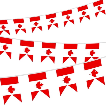40 Pcs Canada Flag Banner 2022,32.8 FT Small Canadian Pennant Pennon ...