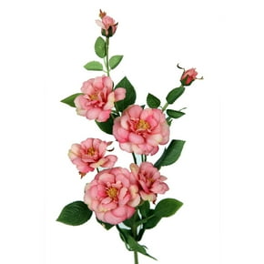 Danson Decor Inc. | Walmart Canada