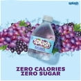 Splash Refresher Fruity Flavored Water, Acai Grape, Zero Sugar, 24 Bottles of 8 Fl Oz - Walmart.com