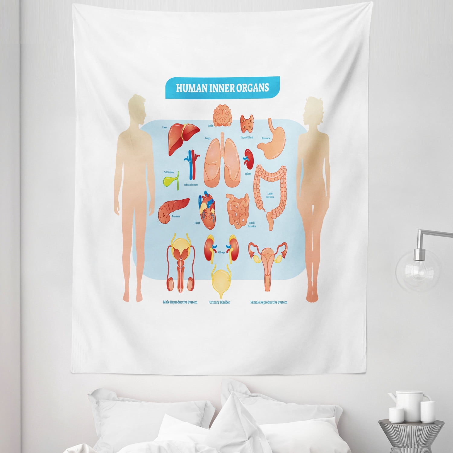 Anatomy Tapestry, Human Inner Organs List Infographic Male Female Body ...