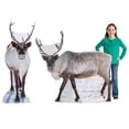 Christmas Reindeer Cardboard Cutout Stand-Ups - 2 Pc - Walmart.com