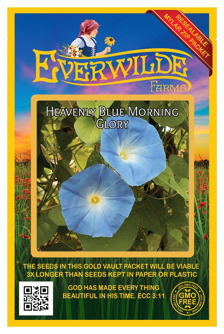 Heavenly Blue Morning Glory Seeds