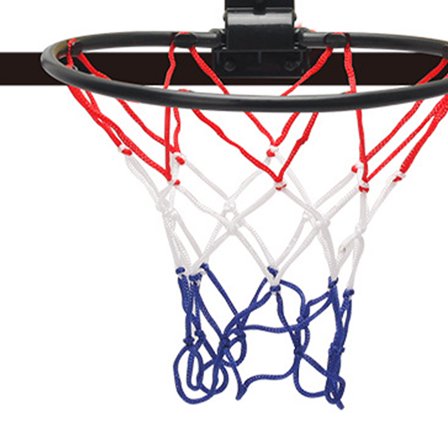 Tekk Pro Edition Dunk Miniature Basketball, Slam Indoor Nate Robinson ...
