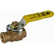 Gland Packing Valve