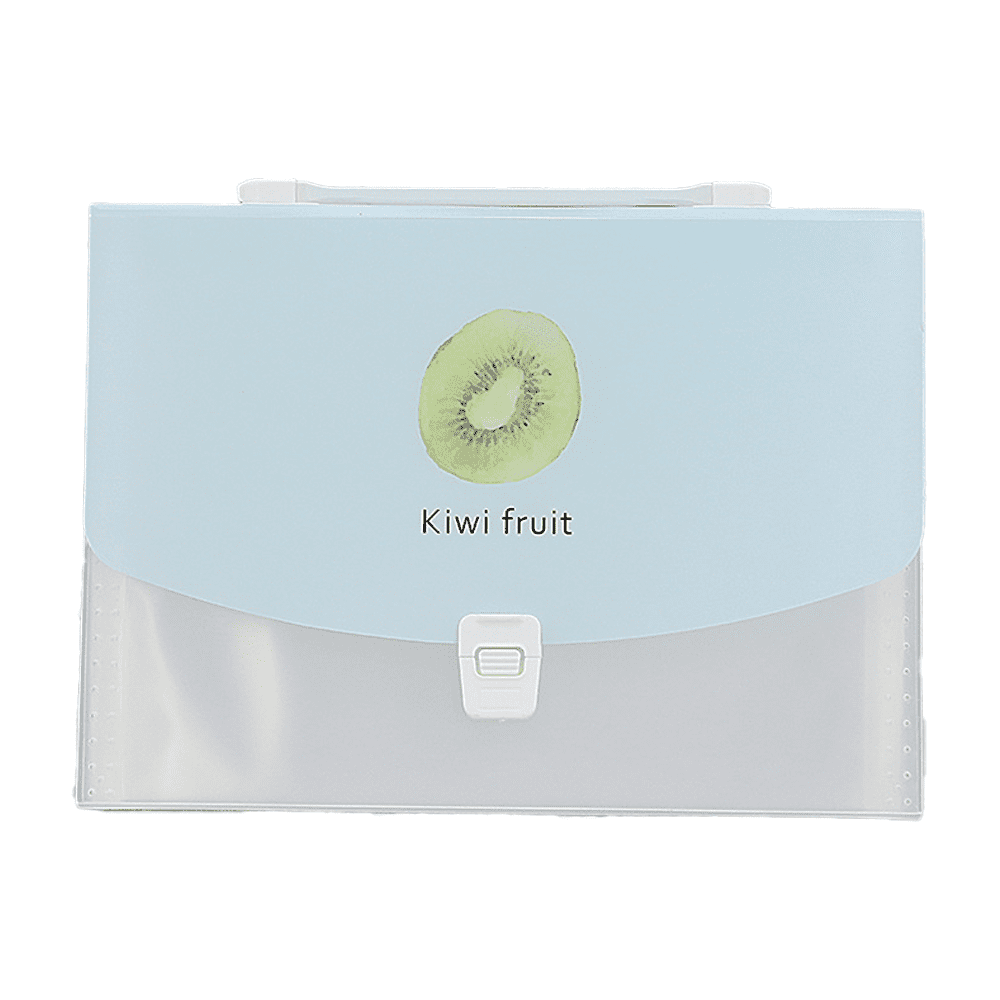 Pockets Expanding File Folder, A4 Document Organiser, Plastic Accordion ...