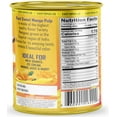 Rani Brand Kesar Mango Pulp Puree 30oz Indian Mango for Mango Lassi ...