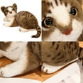 Kitten Plush Toys Cat Plush Toy Cat Plush Toys Kitten Toy Super Cute ...