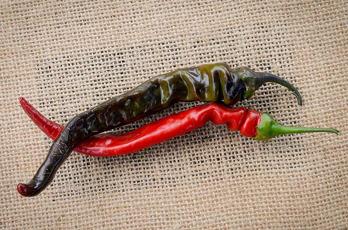 Black Thai Heirloom Chili Pepper Premium Seeds Packet - Walmart.com