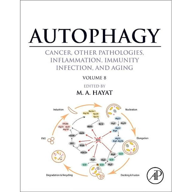Autophagy: Cancer, Other Pathologies, Inflammation, Immunity, Infection ...