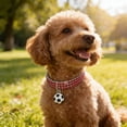 Adjustable Rhinestone Soccer Pet Necklace with Football Pendant ...