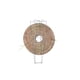 Best Bee Brothers Glass Wasp Trap and Wasp Deterrent Hive (2 Hives) for ...