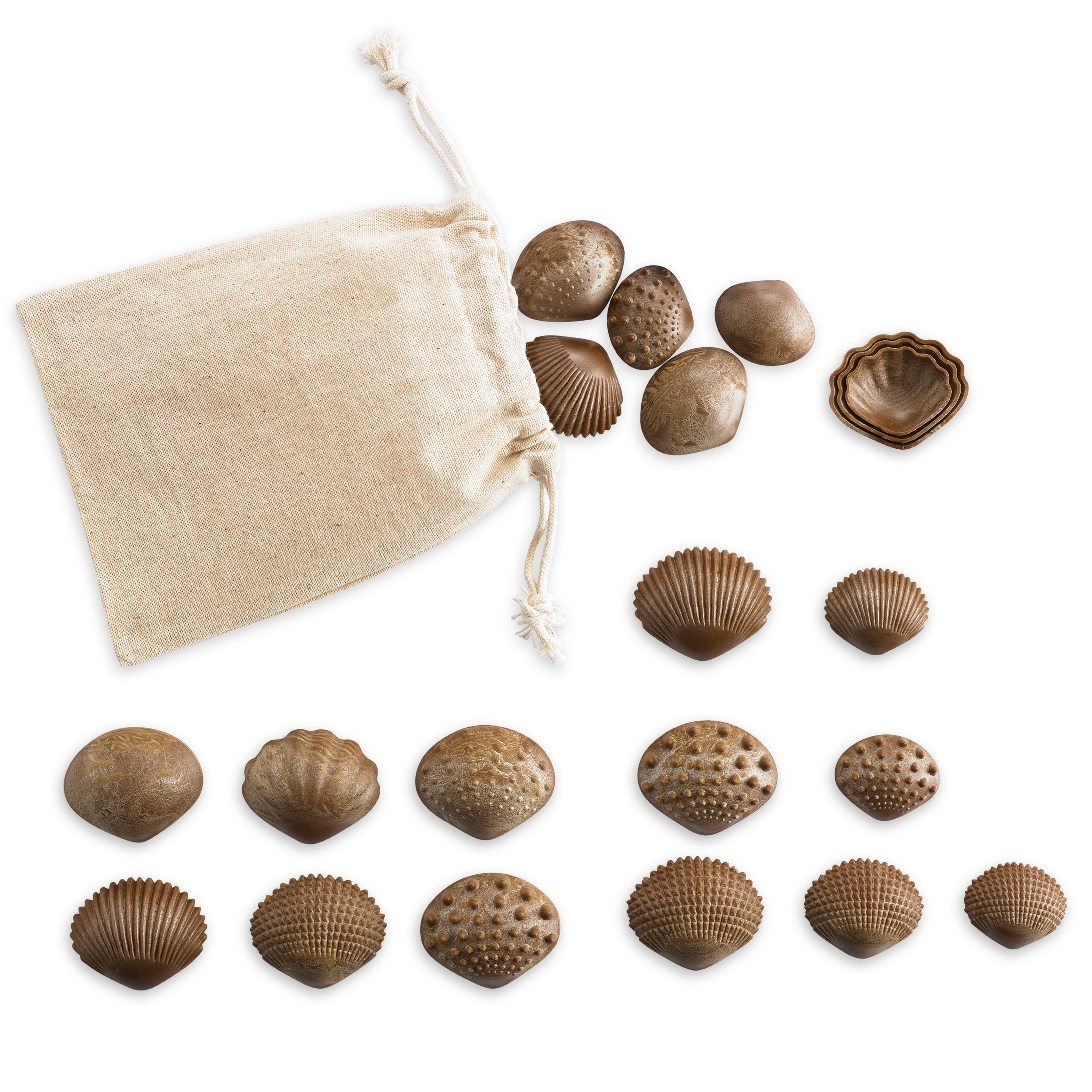 Edx Education® Tactile Shells, Set of 36 - Walmart.com