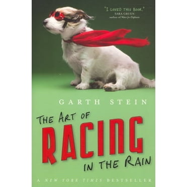 The Art of Racing in the Rain - Walmart.com