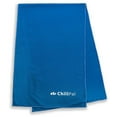 Chill Pal Mesh Cooling Towel (Blue, 12 x 40 inch) - Walmart.com