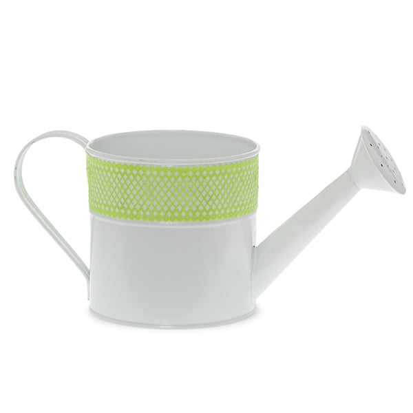 Spring Round Watering Can with Mesh Trim- Small 4in - Walmart.com
