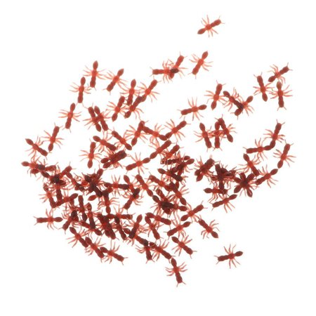 Baohd 1/2/3/5 Fun and Educational 100 Piece Brown Plastic Fake Ants ...