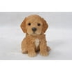 Praying Yellow Labrador Puppy Statue - Walmart.com