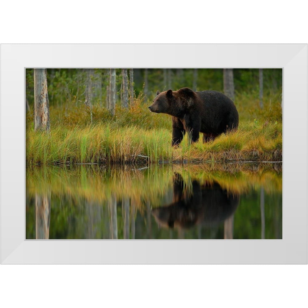 Gavra, Assaf 18x13 White Modern Wood Framed Museum Art Print Titled ...