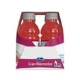 Ocean Spray® Cran-Watermelon™ Cranberry Watermelon Juice Drinks, 10 fl ...