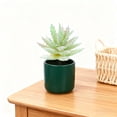 Bookker Lifelike Succulent Faux Succulents For Home Desk Modern ...