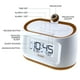 Sharp Projection Alarm Clock with Soothing Nature Sounds, SPC585 ...