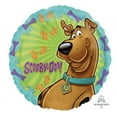 18" Scooby Doo Balloon Pattern - Walmart.com