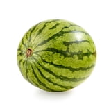 Fresh Seedless Watermelon, Each - Walmart.com