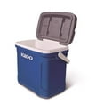 Igloo Latitude 30 Cooler Box Gallon Container, 8.1gal (28L) Capacity ...
