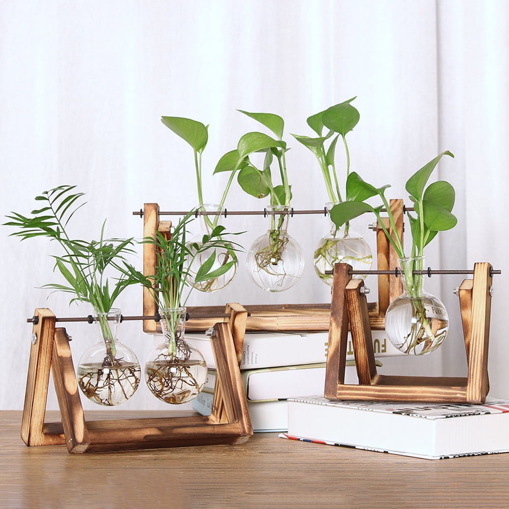 Hesroicy Clear Glass Planter Bulb Vase with Retro Wood Stand, Perfect ...