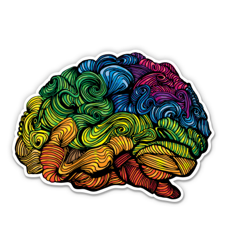 Brain Colorful Swirls - 12" Vinyl Sticker Waterproof Decal - Walmart.com
