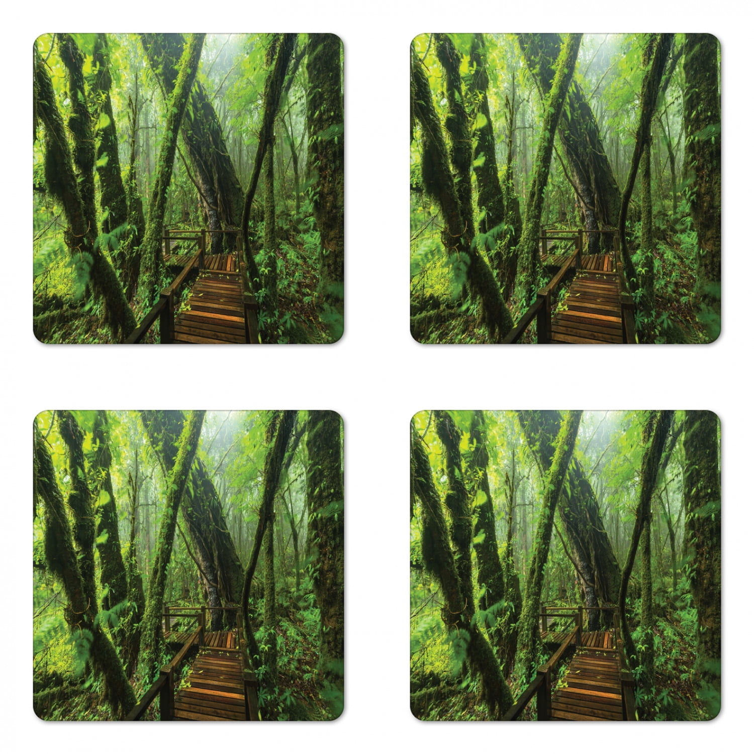 Forest Coaster Set of 4, Entrance to Deep Dark Evergreen Jungle Surreal ...