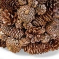 GDF Studio Pre Decorated Pine Cone and Glitter Artificial Tabletop ...