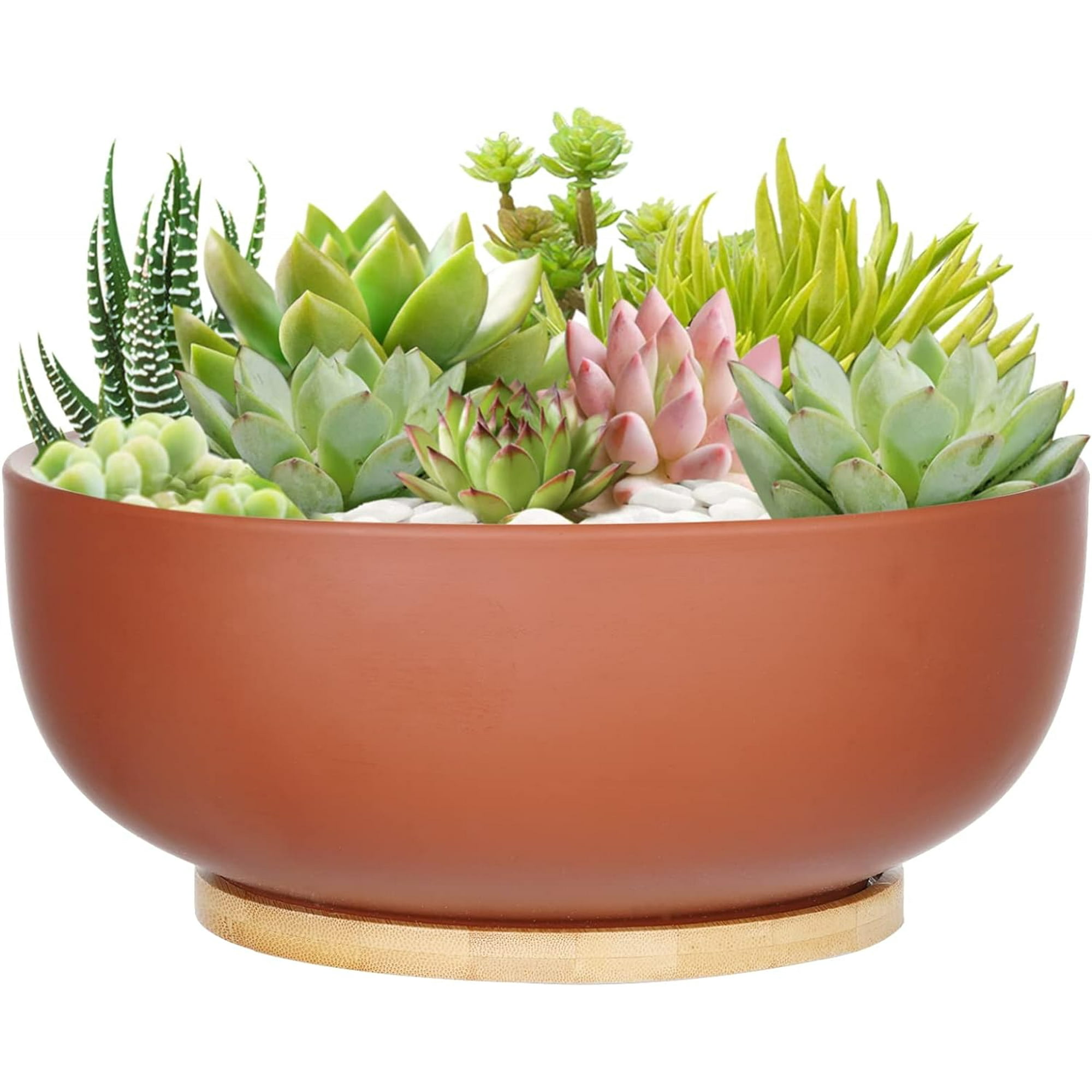 Click here for Unbranded 10 Inch Succulent Pot  Terracotta Succul... prices